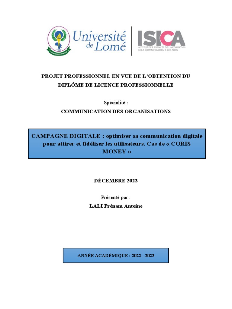 Projet Professionnel Isica | PDF