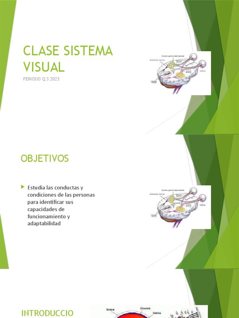 Clase Sistema Visual Capitulo 6 | PDF | Percepción visual | Color
