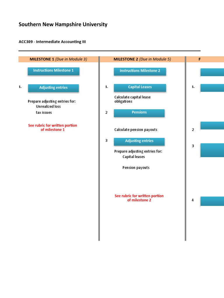 ACC 309 Final Project Student Workbook | PDF | Preferred Stock | Equity (Finance)