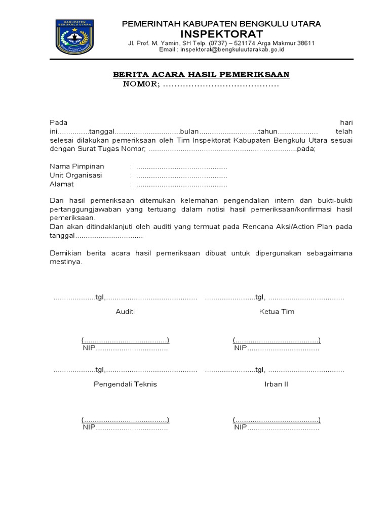 BERITA ACARA HASIL PEMERIKSAAN | PDF