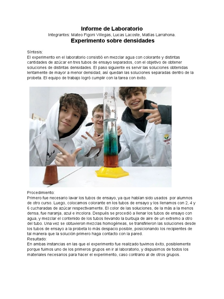 Informe De Laboratorio Pdf