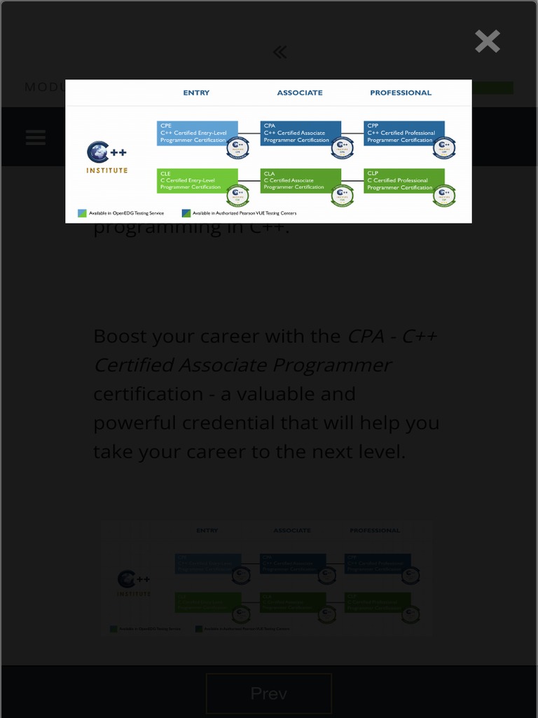 Edube Interactive C++ Essentials (v1.1) - CPA | PDF