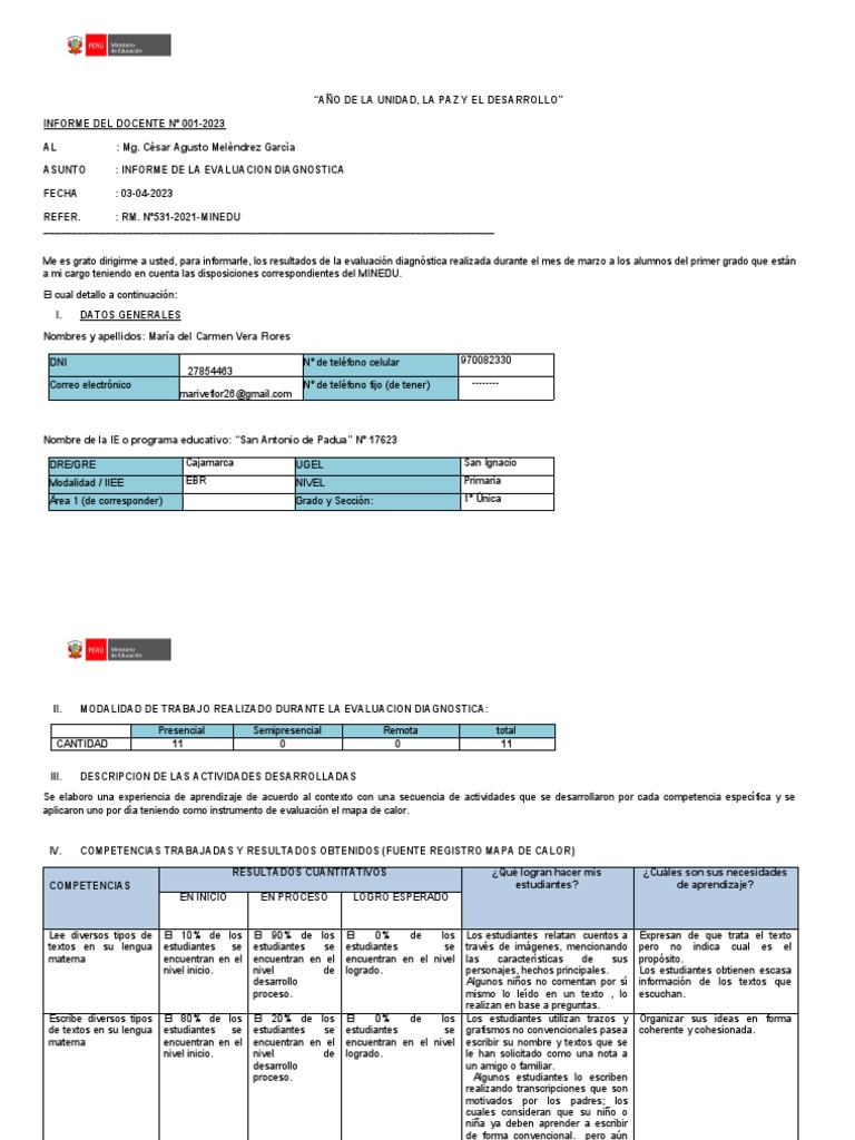 Informe De La Evaluacion Diagnostica Primer Grado Primaria Sap Pdf 8984