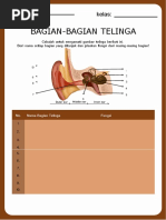 Materi 2 - Makrame | PDF