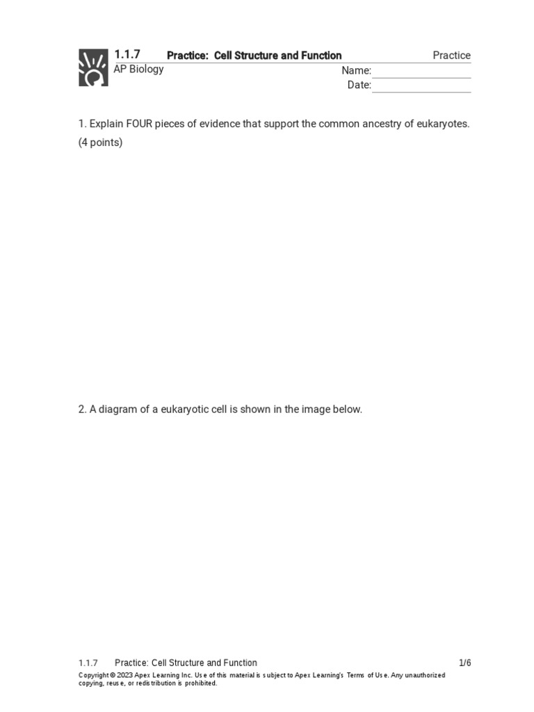 1.1.7 Practice - Cell Structure and Function (Practice) | PDF | Science ...
