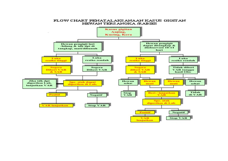 Alur Tatalaksana | PDF