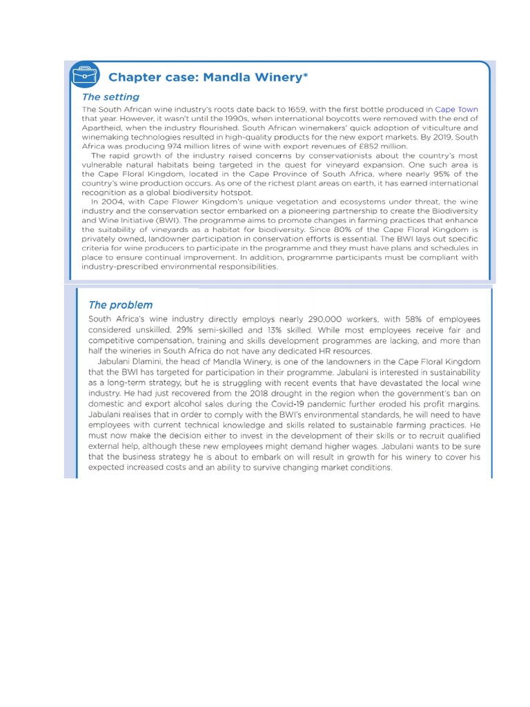 Mandla Winery Case CH 2 Strategy | PDF