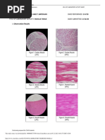 Tissues Class 9 Notes | PDF | Epithelium | Tissue (Biology)