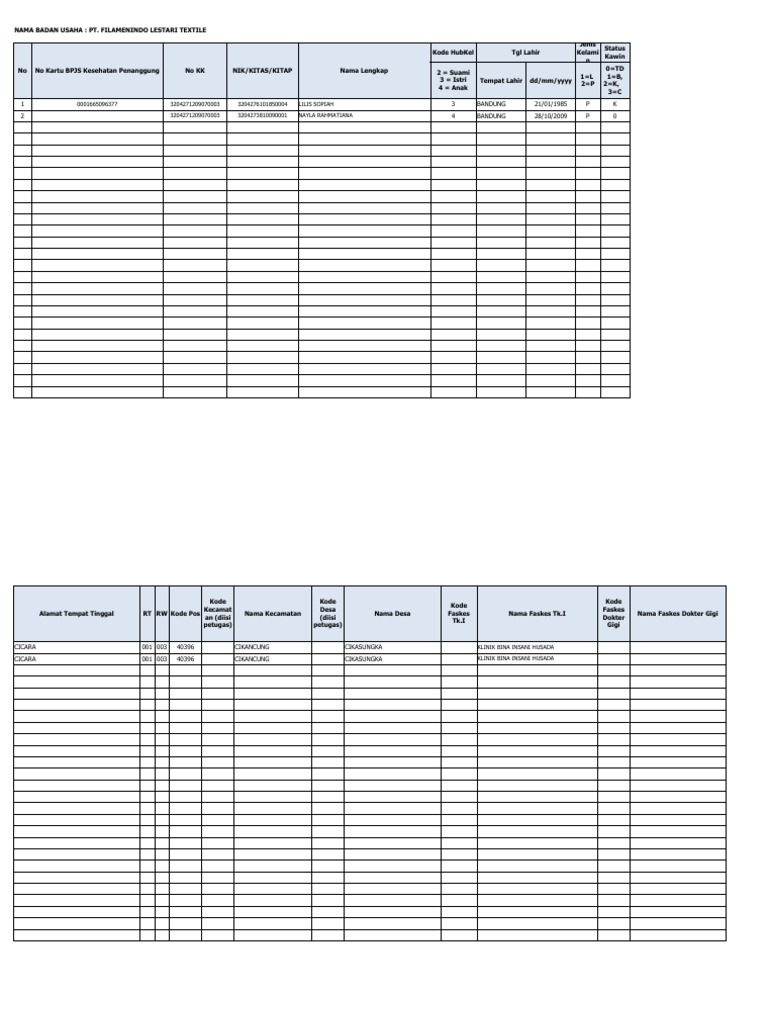 Form 37 Format Isian Revisi Data - Baru | PDF