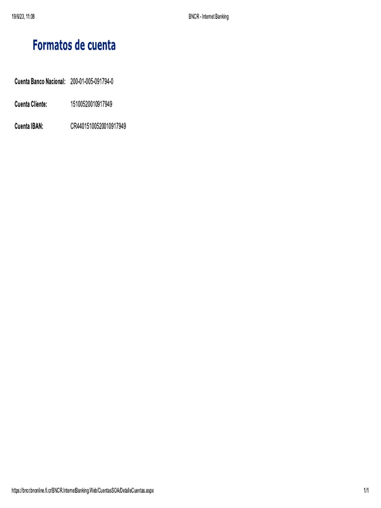 BNCR - Internet Banking | PDF