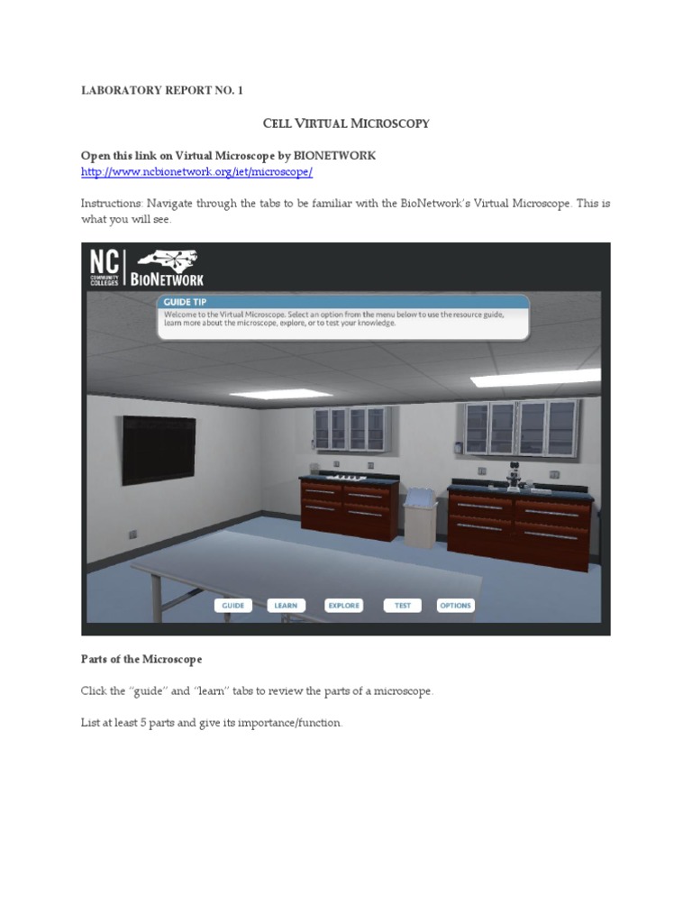 Laboratory Report No. 1 Cellular Bases of Organisms | PDF | Microscope ...