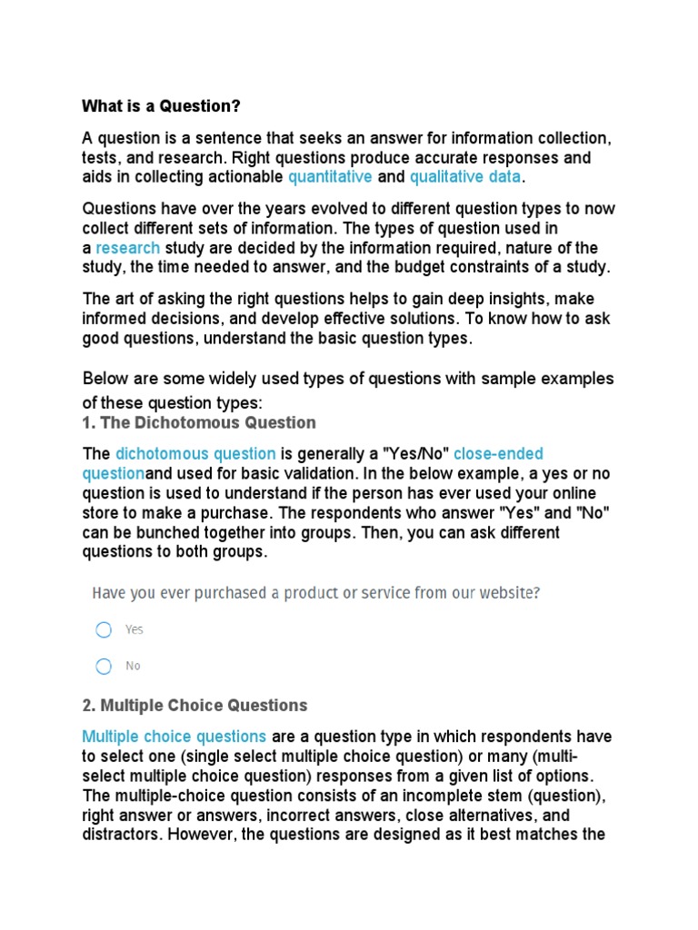 What Is A Question | PDF