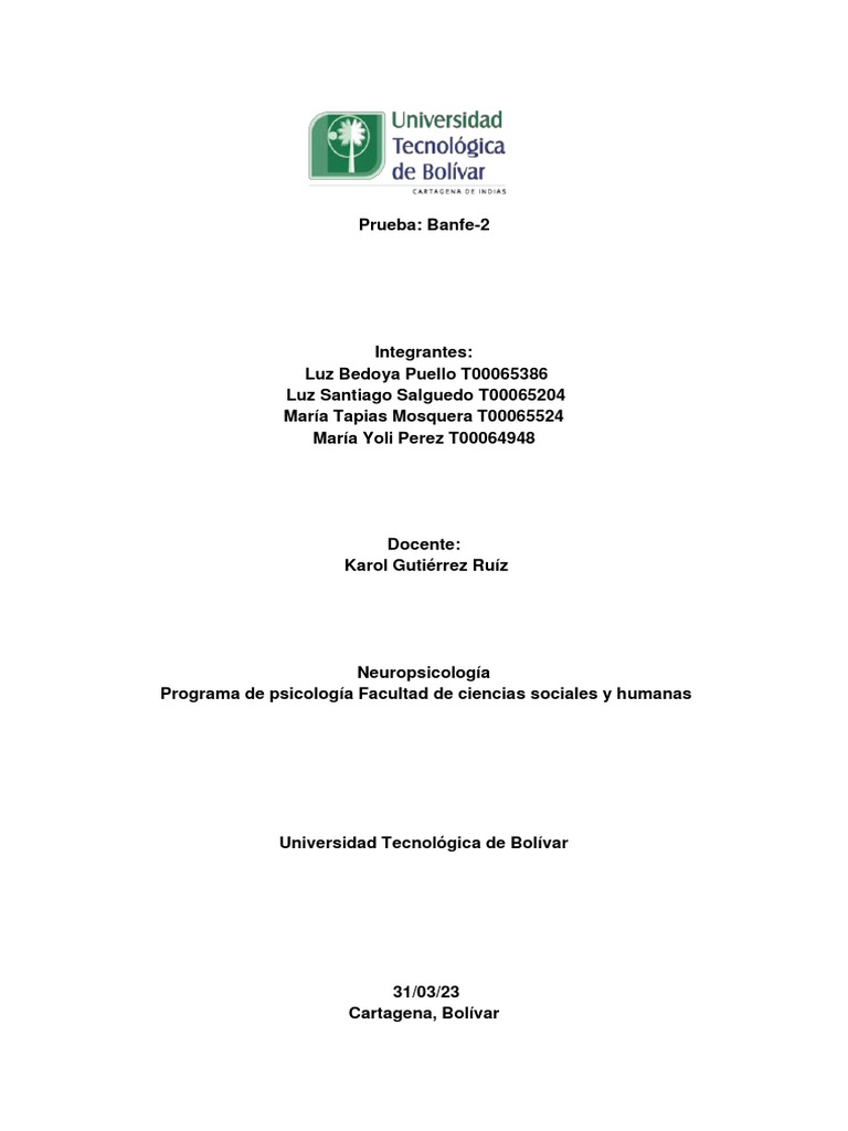 Informe BANFE 2 | PDF | Las emociones | Funciones ejecutivas