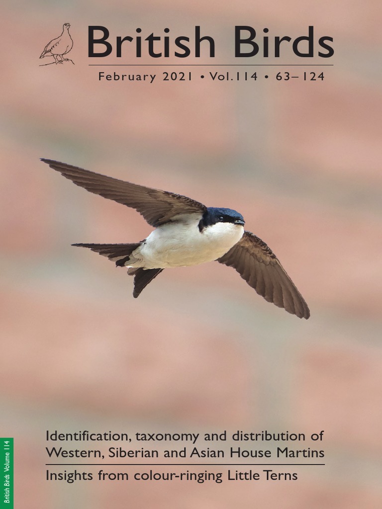 British Birds - February 2021 | PDF
