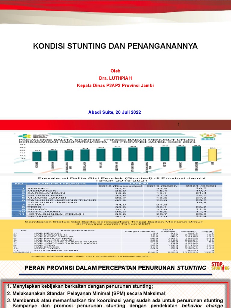 Materi Kadis TPPS Stunting, PP PK | PDF