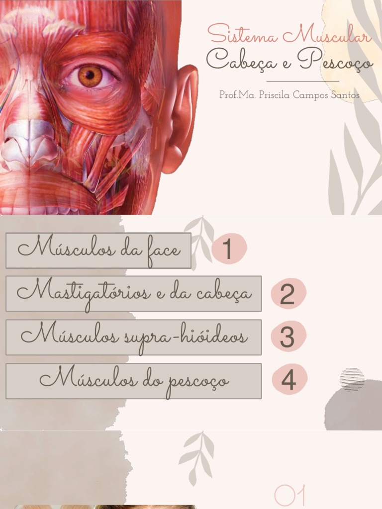 Músculos Da Face1 | PDF | Rosto | Boca