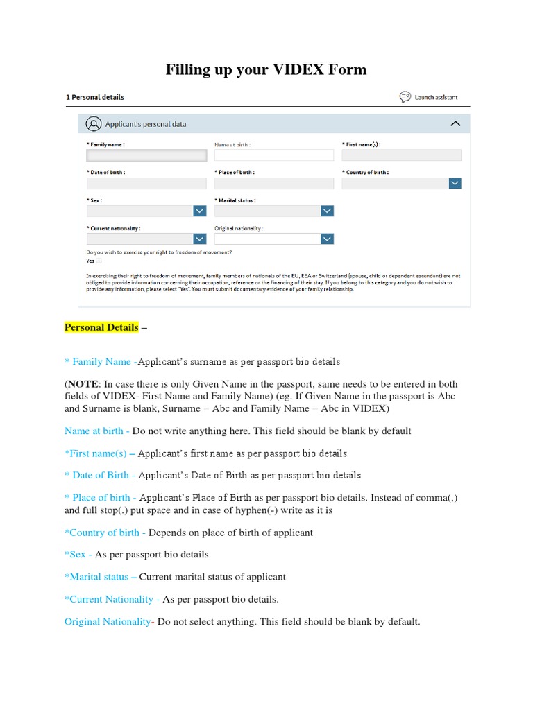 How to Complete the VIDEX Form for Germany | PDF | Passport | Travel Visa