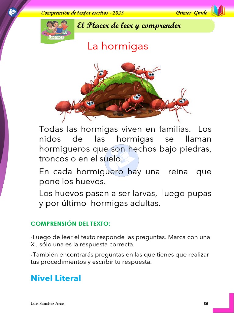 Las Hormigas | PDF | Hormiga | Insectos