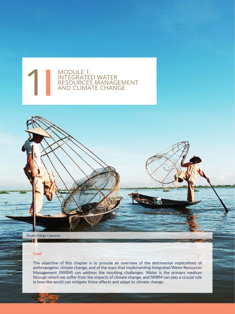 Pages From Cap Net CCA and IWRM | PDF