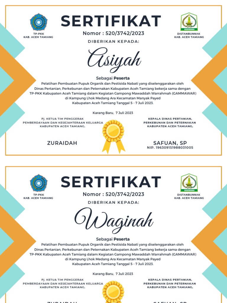 Teal Orange Modern Elegant Achievement Certificate | PDF