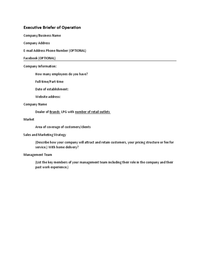 6.1-D. Sample Executive Briefer of Operation | PDF