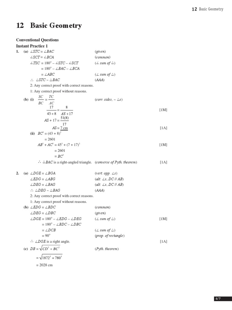 Solution Guide - 12. Basic Geometry | PDF