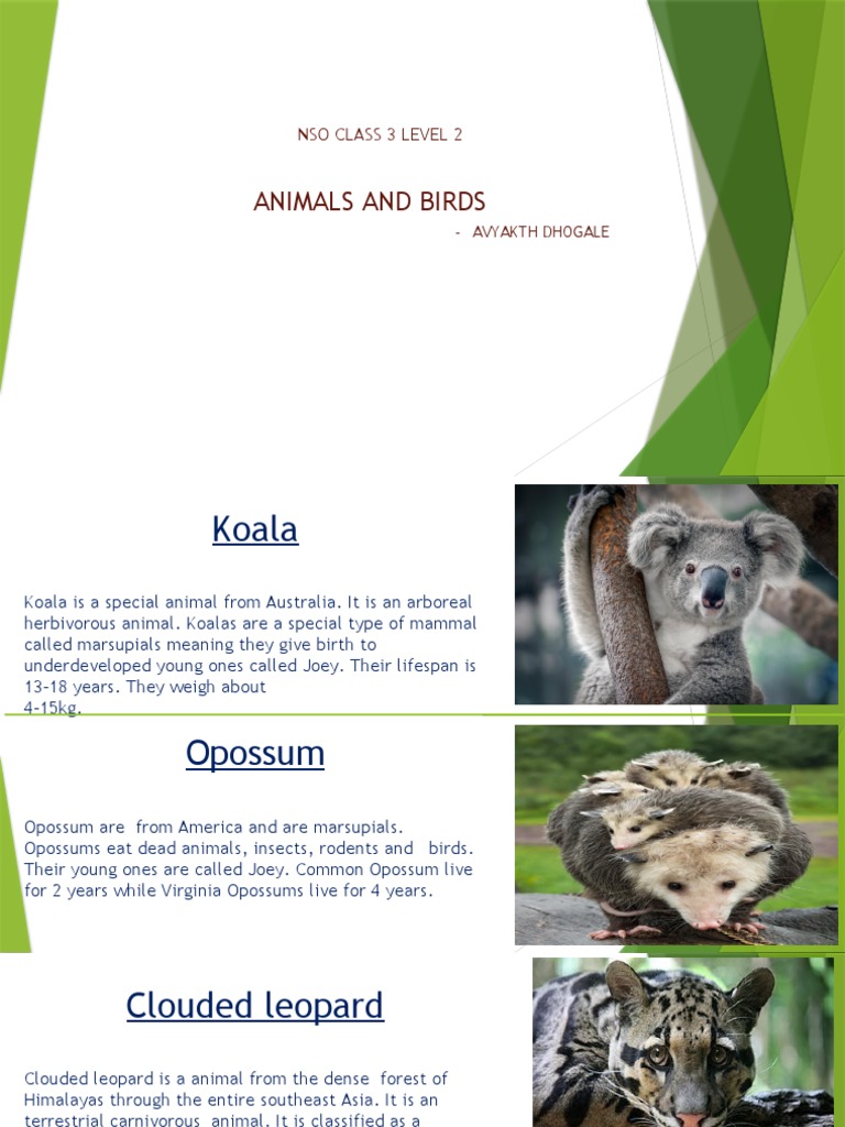 Nso Class 3 Level 2 | PDF