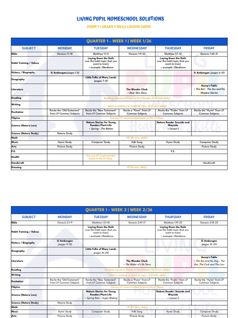 Grade 1-Lesson Plan | PDF