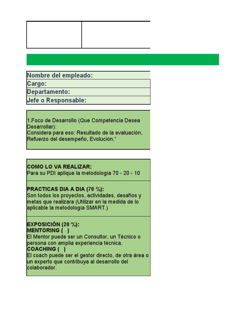 Programa de Desarrollo Individual (Pdi) | PDF