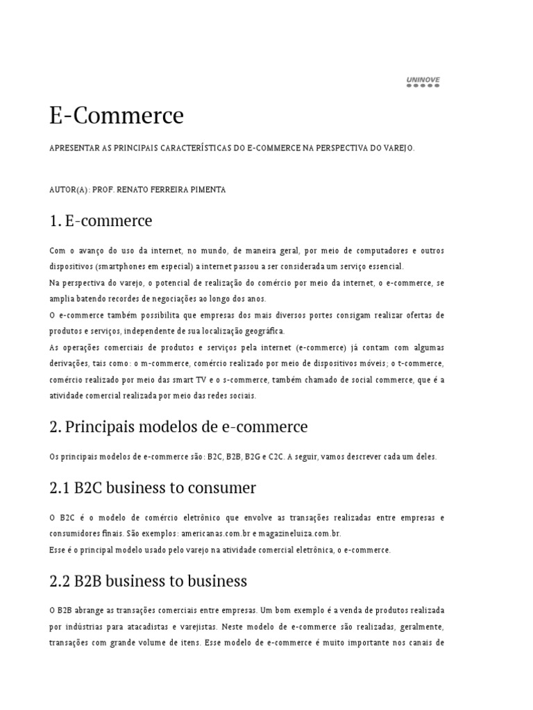 E Commerce | PDF