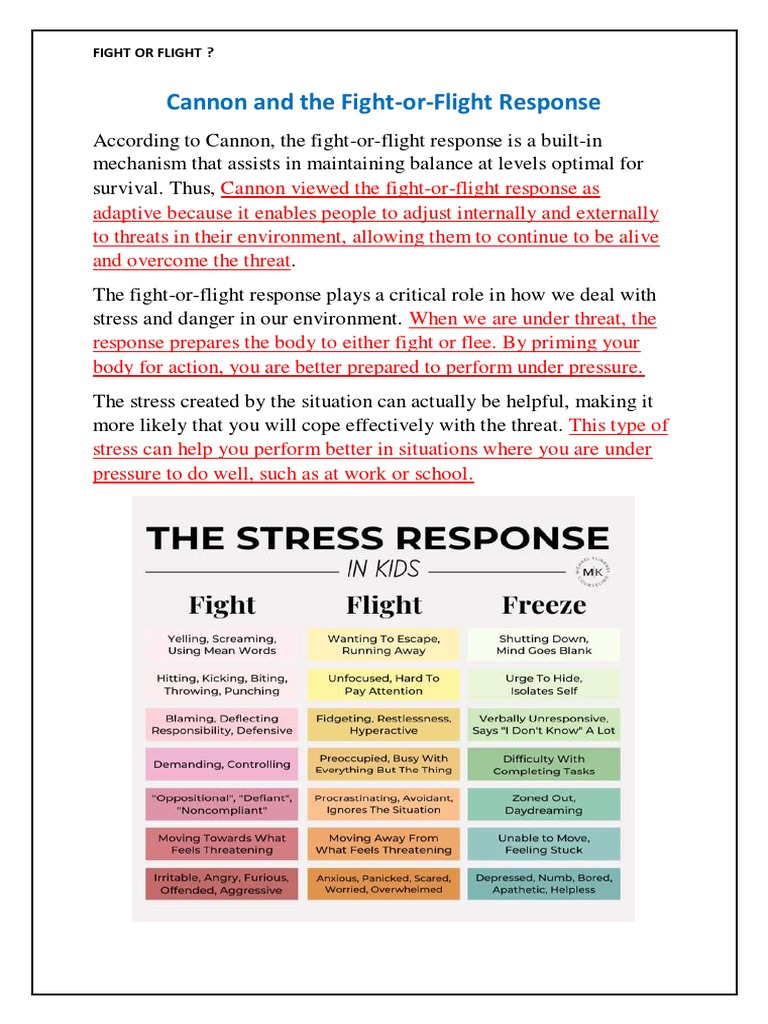 Cannon and The Fight | PDF