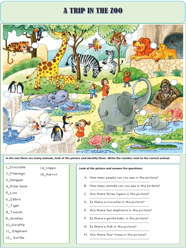 Zoo Picture Description Activity | PDF