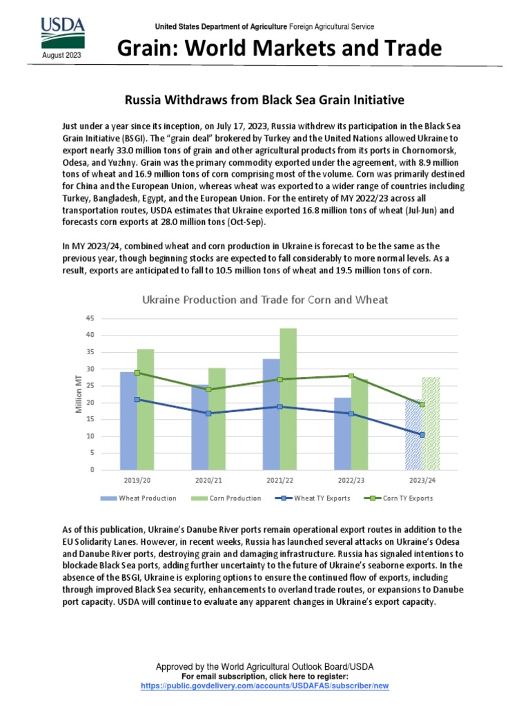 Grain | PDF | Rice | Wheat