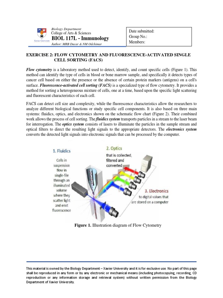 Exercise 2 Flow Cytometry and Fluorescence Activated Single Cell ...