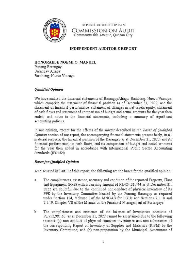 04 BLGUAliaga 2022 AAR Independent Auditor's Report | PDF