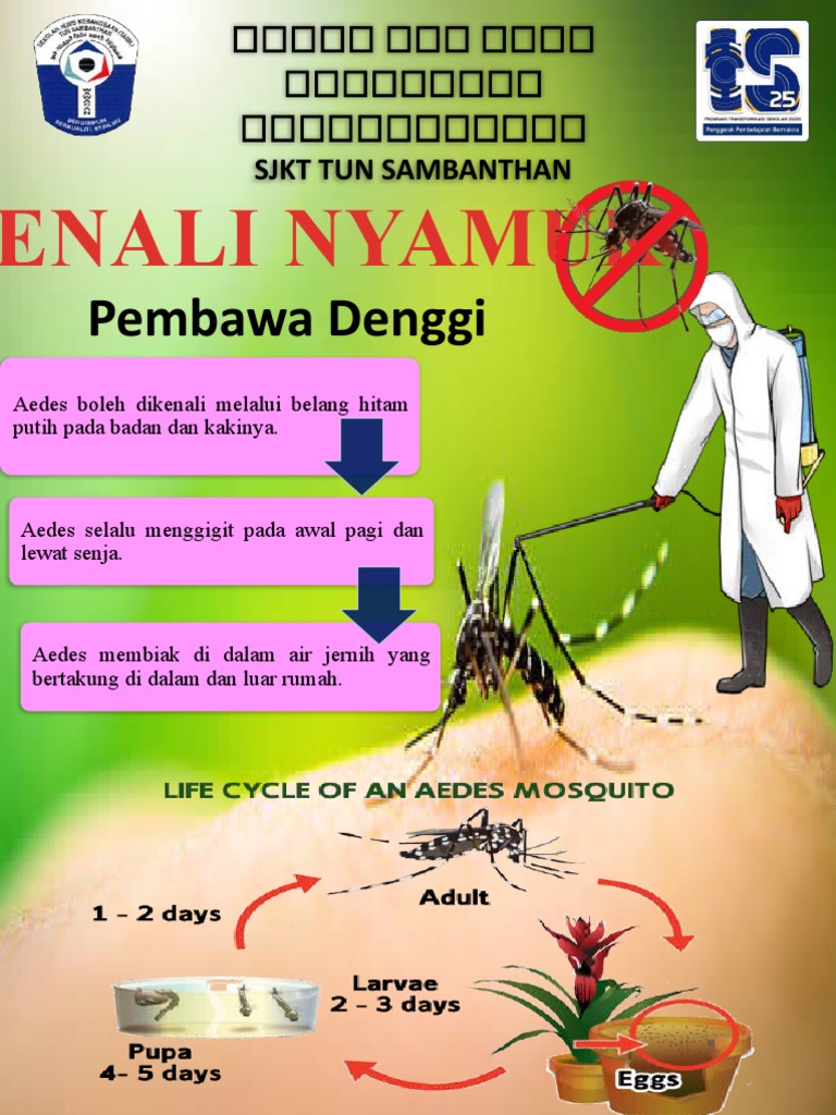 Denggi Poster | PDF