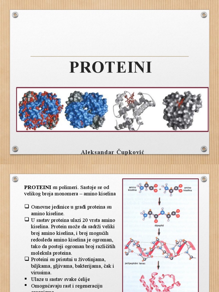 Proteini Za Novi Vek | PDF