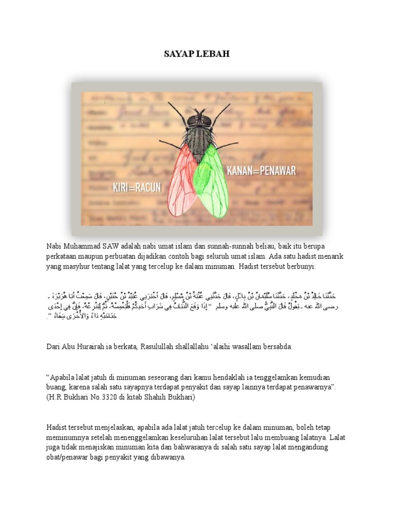 Sayap Lalat | PDF