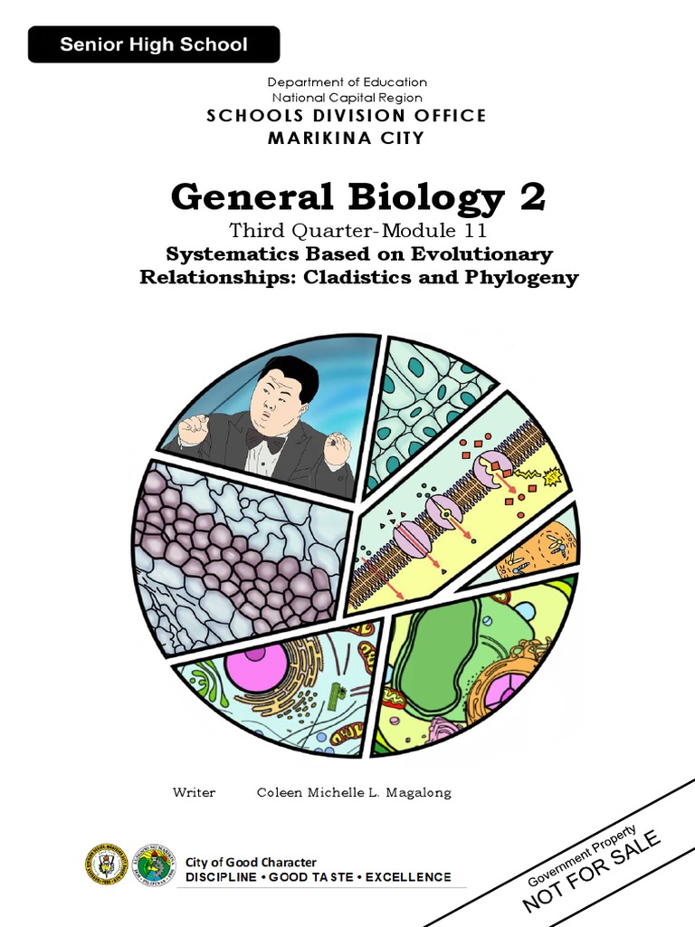 q3 m11 Cladistics and Phylogeny | PDF