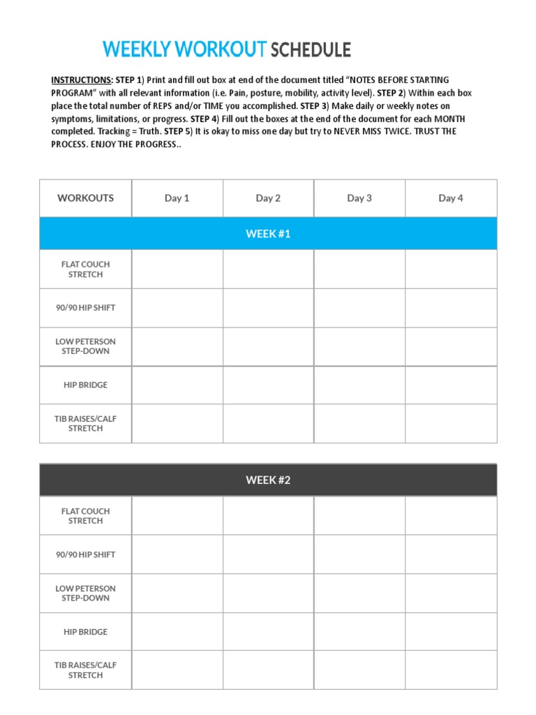 12-Week Mobility and Workout Tracker | PDF | Clinical Medicine ...