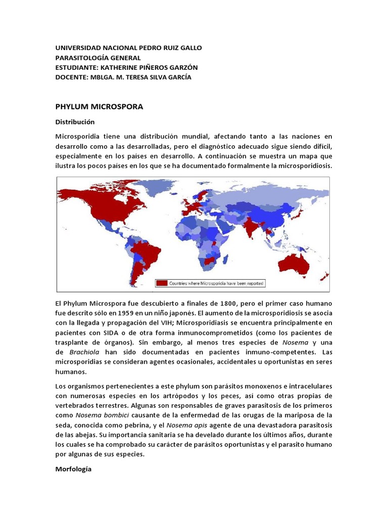 Phylum Microspora | PDF | Hogar, jardinería y bricolaje