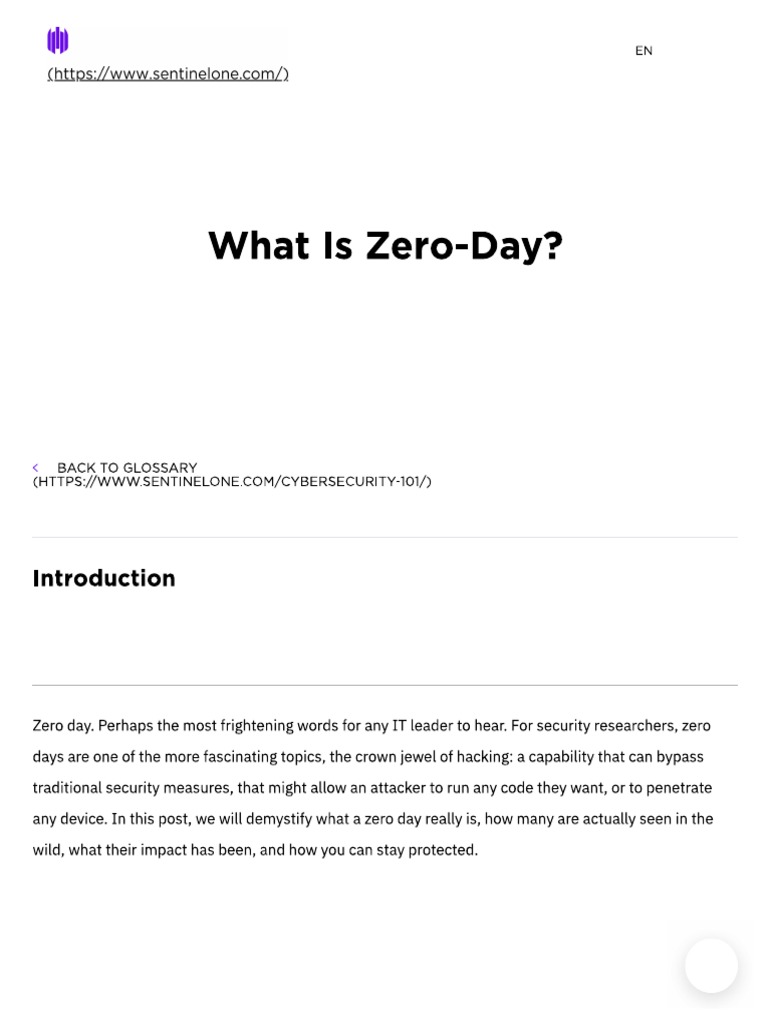 Zero Day Attacks Pdf