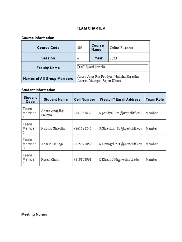 Team Charter for Online Business Course | PDF