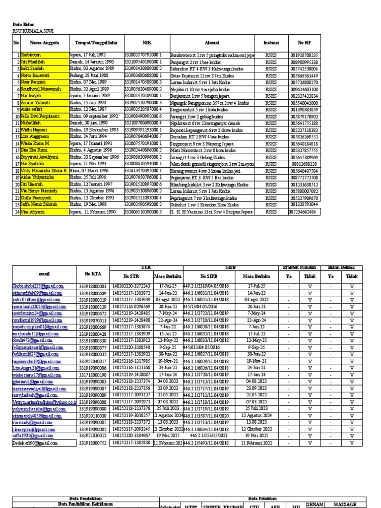 Daftar Anggota IBI 2022 New | PDF