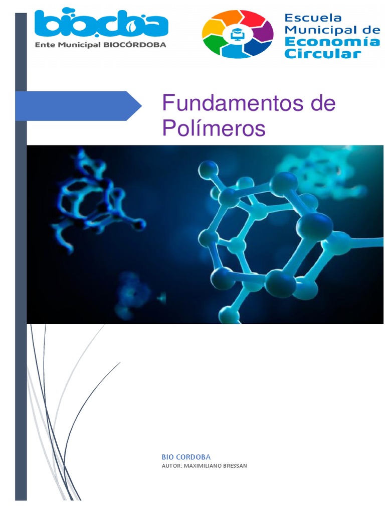 Fundamentos de Polímeros Actualizado | PDF