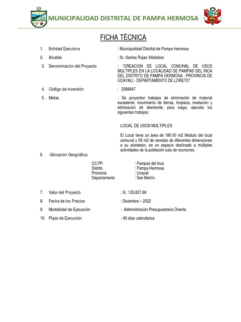 Ficha Tecnica Ok | PDF