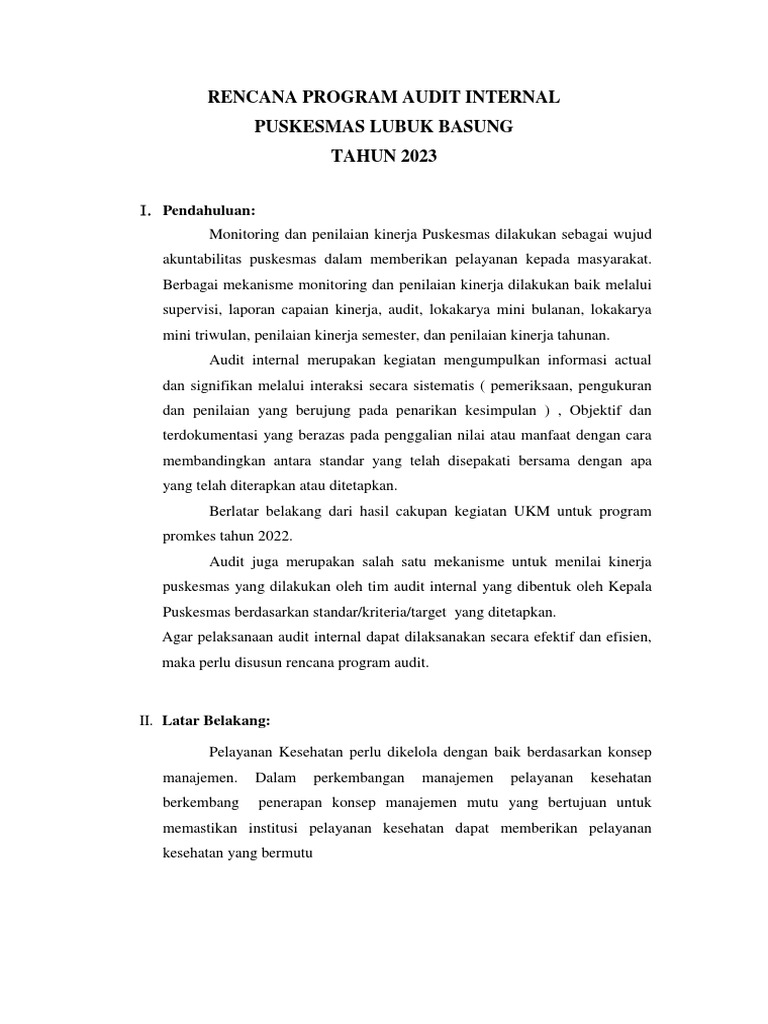 Rencana Program Audit Internal Tahunan | PDF