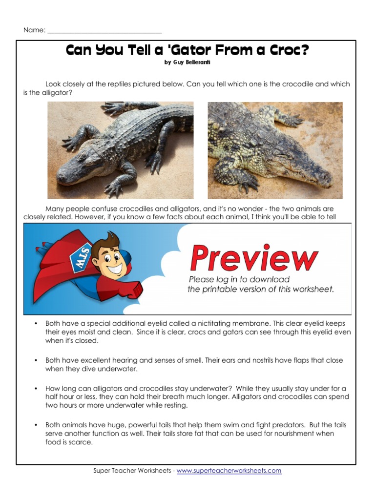 4th Alligators Crocodiles | PDF | Alligator | Crocodile