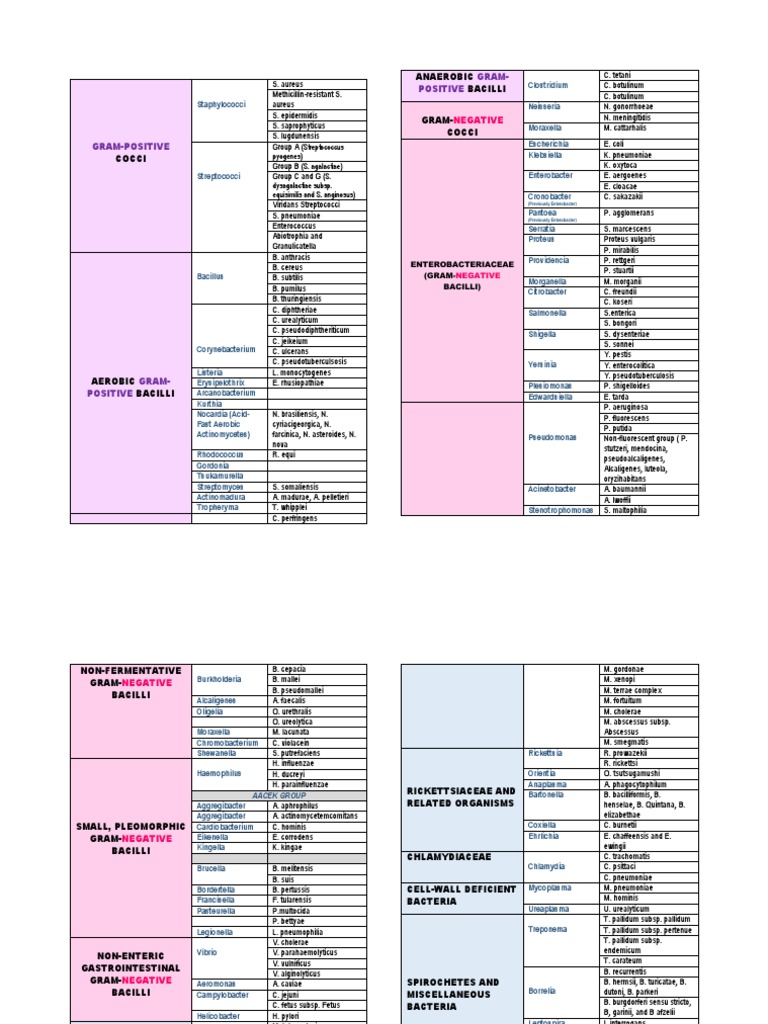 Bacteria Classification Pdf Gram Negative Bacteria Bacillus