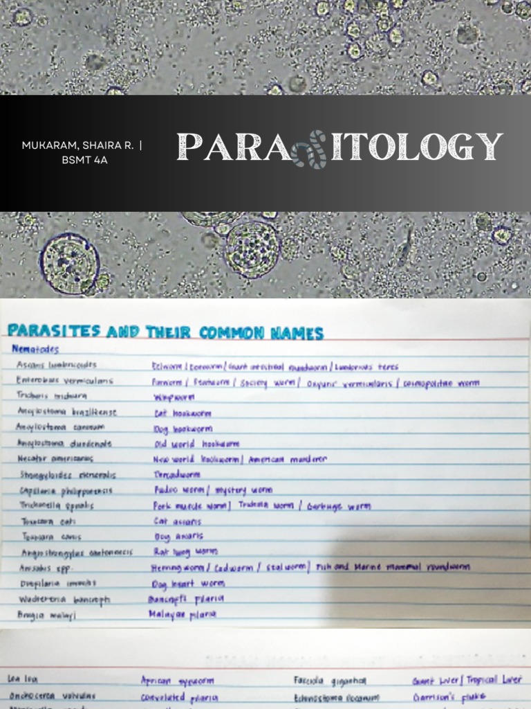 Mukaram, Shaira R Parasitology Activity #1&2 | PDF